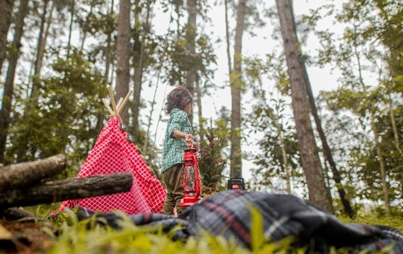 Fun & Affordable Fall Activities for Kids - Student Resources