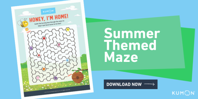 Summer Themed Maze - Student Resources